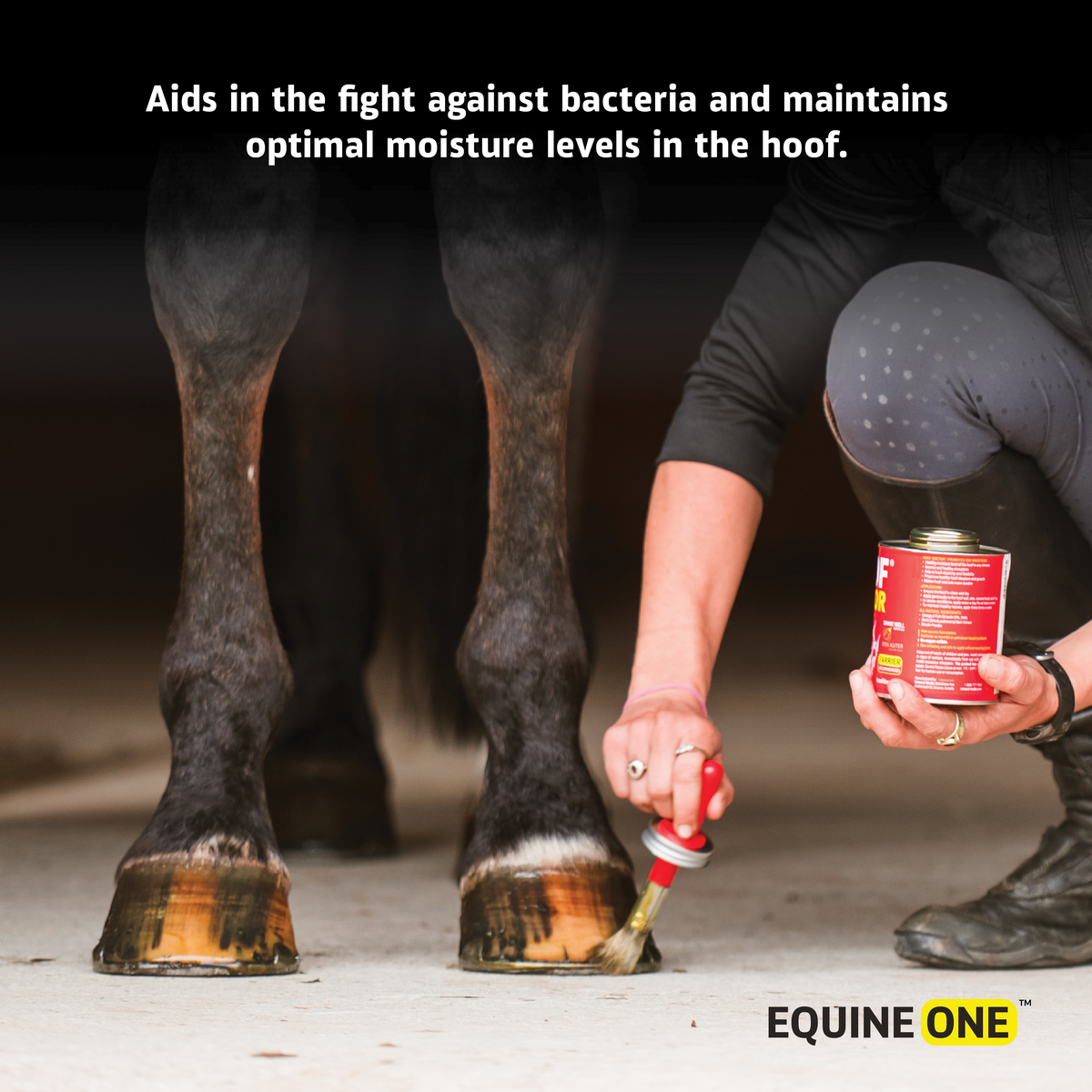 Equine One | Leaders in all natural equine hoof care